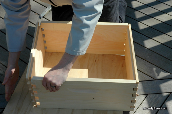 How to Assemble A Bee Hive Box or Super – A Beginner Beekeeper’s Guide ...