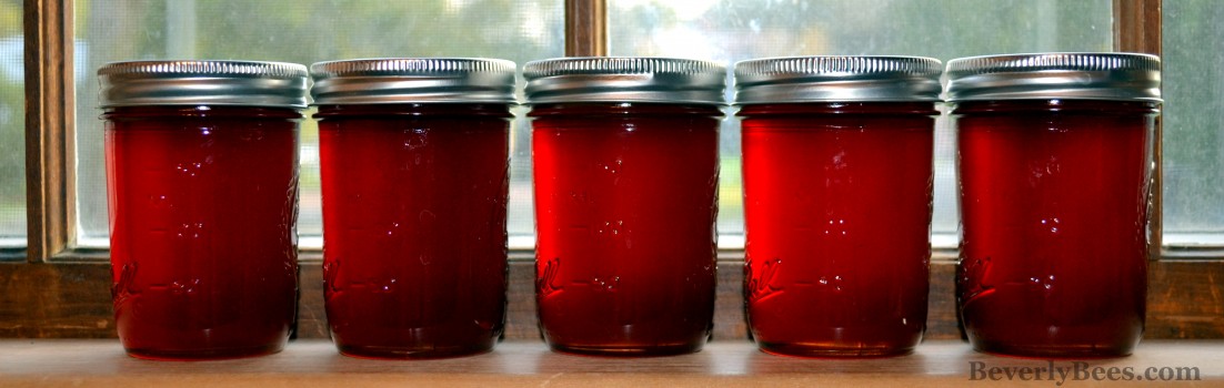Raspberry Honey Jelly Recipe - BEVERLY BEES