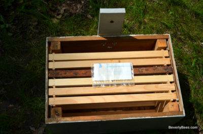 New Swarm Trap And Swarm Trapping – Beverly Bees