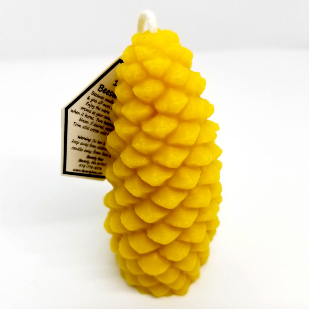 Medium Tall Pine Cone Candle – Beverly Bees