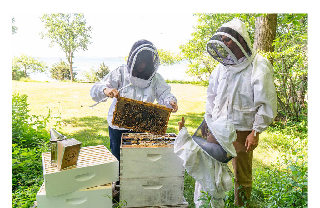 Sustainable Beekeeping & Raw Honey | Beverly Bees MA