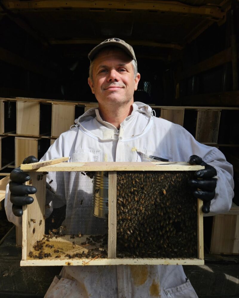 Sustainable Beekeeping & Raw Honey | Beverly Bees MA